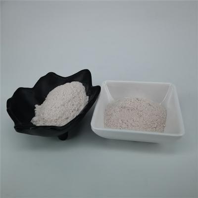 China 99% Purity Cosmetic Raw Material SOD Superoxide Dismutase White Powder for sale
