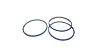 China Double Round Wafer Hoop Ring With Blue Film High Compatibility Most Used In Wafer Testing for sale