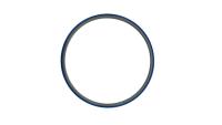 China Double Round Wafer Hoop Ring With Blue Film High Compatibility Most Used In Wafer Testing for sale