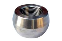 China Metal T Pipe Threaded Weldolet for sale