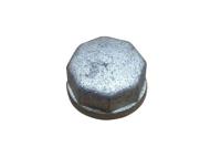 China 138GPa Cap Malleable Iron Pipe Fittings for sale