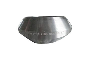China Metal Pipe Socket Weldolet Alloy 20 Pipe Fittings for sale