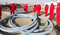China Temp Class Oil Well Drilling Hose Fire Resistant Nominal Diameter 8mm-400mm with Hexagon Head Code for sale