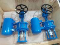 China Pneumatic Linear Actuator 10Mpa for Pinch Gate Valve Aluminum Alloy CE 1 Year Warranty for sale