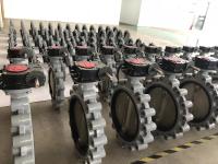 China Lug Type 150lb Butterfly Valve Aluminum Bronze Disc Ductile Iron Body 2-12 Inch for sale