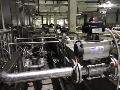 China DN25-DN500 Emergency Shut Down Valve with Pneumatic Actuator for Industrial Pipeline Systems PN10-PN100 for sale