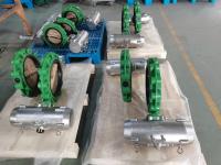 China SS316 Pneumatic Butterfly Valve with Air Actuator 2-8 Bar Working Pressure DN40-DN2000 Size Range ABS Certified for sale