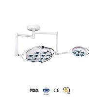 China Cold Light Ceiling Mounted Examination Light Operating Lamp Ceiling Double Dome for sale