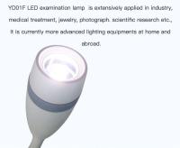 China CE Certificate Pure Whitening LED Lamp For Dental Operating 1 Year Warranty for sale