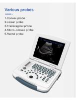 China Multilingual USB Port Color Doppler Ultrasound Scanner for sale