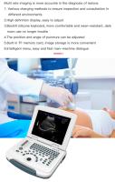 China Multilingual USB Port Color Doppler Ultrasound Scanner for sale
