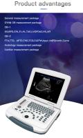 China Multilingual USB Port Color Doppler Ultrasound Scanner for sale