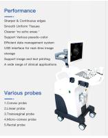 China 4 Probe Trolley 4D Color Doppler Ultrasound Scanner for sale
