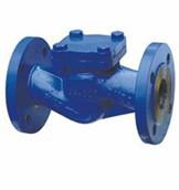 China DIN PN16 PN25 PN40 Steel Lift Type Check Valve Stellite Overlay Disc DN15-300 for sale