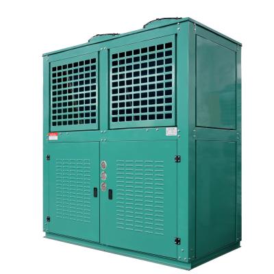 China Proven-Reliable Automatic V-Shaped Semi-Hermetic Condensing Unit Motor for Butcher Shop Freezers Bulk Meat Freshness for sale