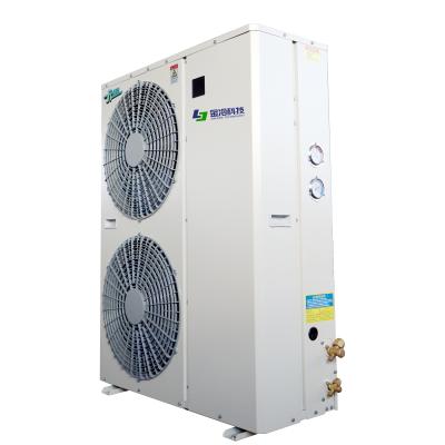 China All-Condition Automatic Two-Fan Condensing Unit with Motor Weather-Resistant Casing for Indoor Warehouses Outdoor Mobile Cooling for sale