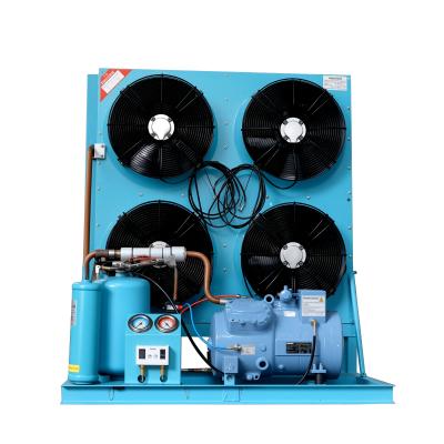 China Air Cooled Condensing Unit Commercial Refrigeration for Cold Room Walk-In Freezer Semi-Hermetic Engine Motor Components for sale