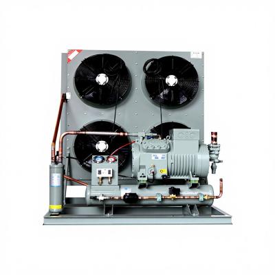 China Dual Fans Motor Automatic Scroll Compressor Eco-Friendly 7.2KW Cooling Capacity 220V Industrial Refrigeration Condensing Unit for sale