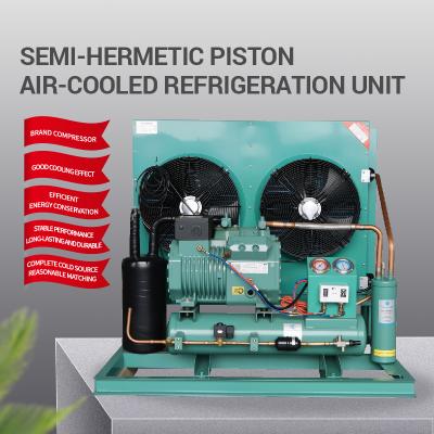 China Air-cooled Compressor Condensing Units for 5HP-40HP Medium and Low-temperature Cold Storage Cooling Equipment for sale