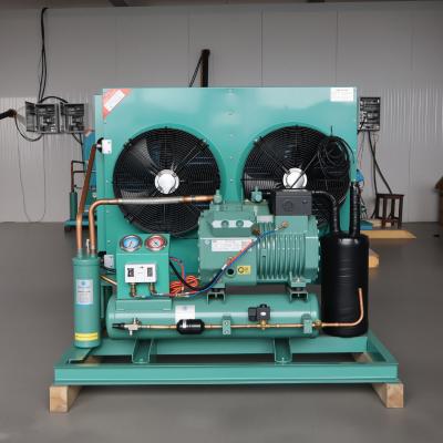 China New for 7HP Semi-hermetic Condensing Unit Air-cooled R-404A Refrigeration System for Commercial Walk-in Cold Storage for sale