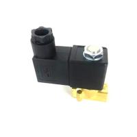 China Stainless Steel Brass Hydraulic Pneumatic Solenoid Valve For Hot Water for sale