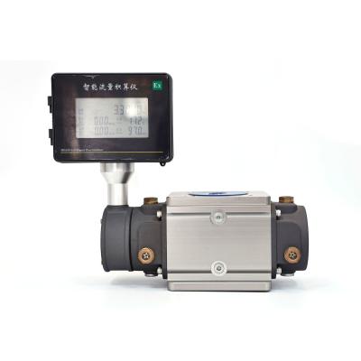 China Yunyi Smart Intelligent Digital LPG and Natural Gas Flow Meter Roots Flowmeter OEM Customizable for sale