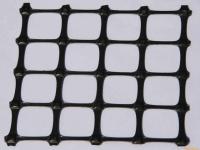 China Plastic Animal Barrier Fence Geogrid For Fence Netting for sale
