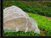 China White UV Resistant Insect Netting 30m 50m 100m For Gardens Farms Greenhouse for sale