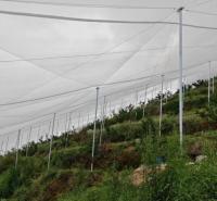 China 3m Width  Anti Insect Netting 50 Mesh For Vegetable Greenhouse for sale