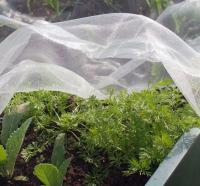 China HDPE Mosquito Window Screen 40 Mesh With 3% UV For Fruits Garden Bug Net for sale