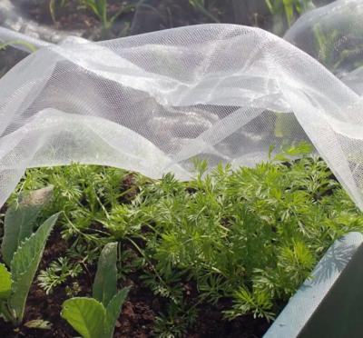 China HDPE Mosquito Window Screen 40 Mesh With 3% UV For Fruits Garden Bug Net for sale