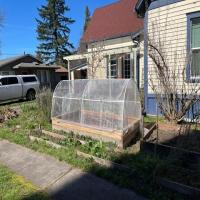 China 3m Anti mosquito screen 50 Mesh To Protect Vegetables Anti Bug Mesh for sale