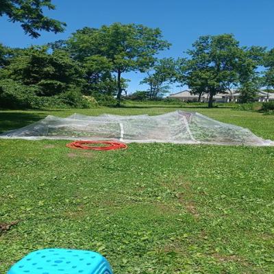 China 50 Mesh 5m 120g/M2 Plant Insect Mesh Protection Netting Anti Insect Net for sale