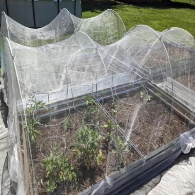 China Plain Weave Insect Mesh Net with Bio-Based UV Stabilizer for 5 Years Use Time in White for sale
