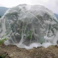 China 50 Mesh Insect Proof Netting For Fruit And Vegetables Protections for sale