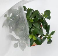 China 50 Mesh Insect Proof Netting For Fruit And Vegetables Protections for sale