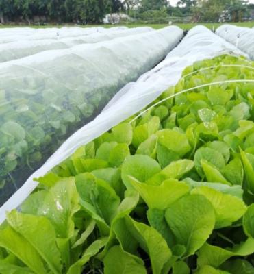 China White 50 Mesh 5m Insect Screen For Greenhouse Anti mosquito screen for sale