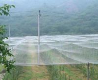 China White 50 Mesh 5m Insect Screen For Greenhouse Anti mosquito screen for sale