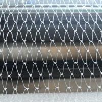China 2mm Opening Heavy Duty Bird Netting For Orchards  Chinlon Material for sale