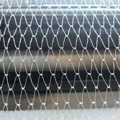 China 2mm Opening Heavy Duty Bird Netting For Orchards  Chinlon Material for sale