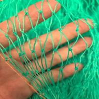 China Green Color Anti Bird Netting For Blueberry Protection for sale