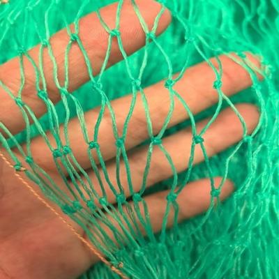 China Green Color Anti Bird Netting For Blueberry Protection for sale