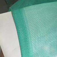 China Garden And Farm Plastic Window Screen With HDPE Material for sale