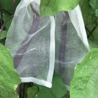 China Fruits And Vegetables Plastic Mesh Insect Netting Bags Any Kind Of Size for sale