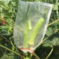 China Zucchini Plastic Mesh insect Netting Bags Anti Bug And Fly 3years Work Life for sale