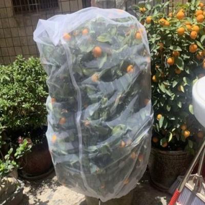 China 40x20cm Plastic Agricultural Insect Netting Bags For Fruits And Plant Protection for sale