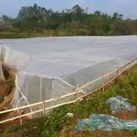 China 30 Mesh 100g/M2 Anti Mosquito Garden Netting / Bug Netting For Garden for sale