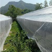 China 40 Mesh Fine Garden Netting For Farms And Agricultural for sale