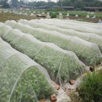 China 3-5m  Insect Net Mesh 40 50 Mesh For Greenhouse Garden Insect Screen Mesh for sale