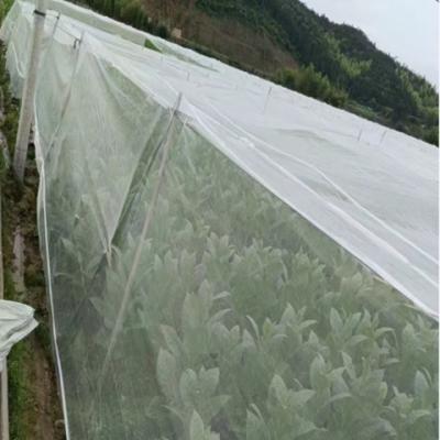 China 3m Insect Net Mesh 50 Mesh To Protect Fruits Bug Mesh Netting for sale